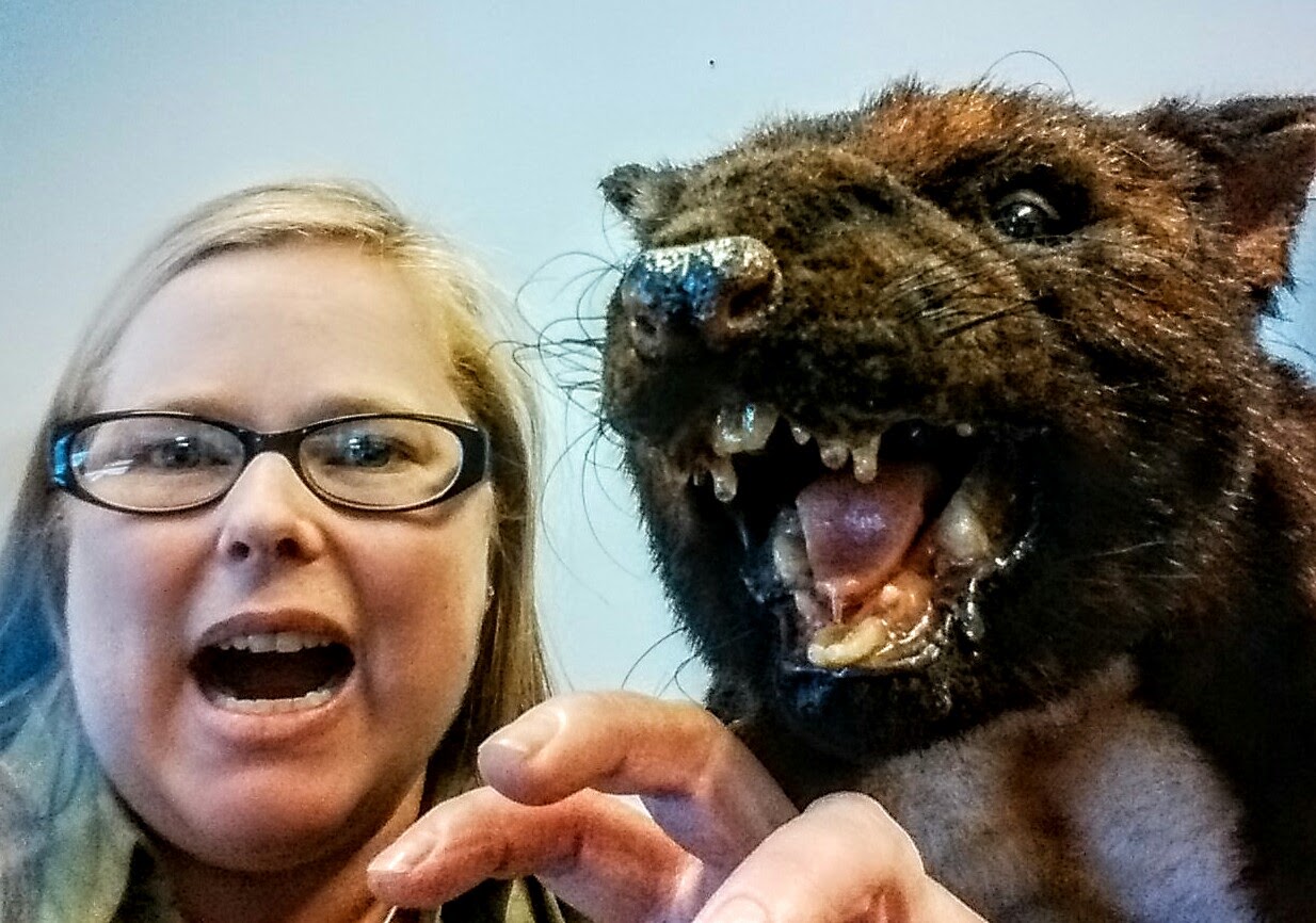 Science Made Easy incursions increase scientific literacy.