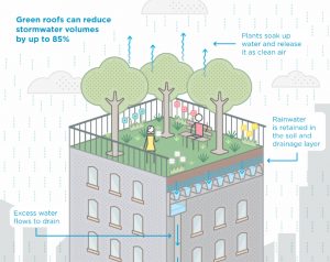Urban Heat Island effect, here is what you need to know.