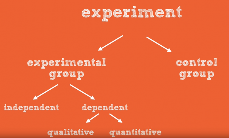 The scientific method is a process for experimentation