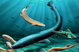 Ancient Australian Animals: 3 billion years of fossil history