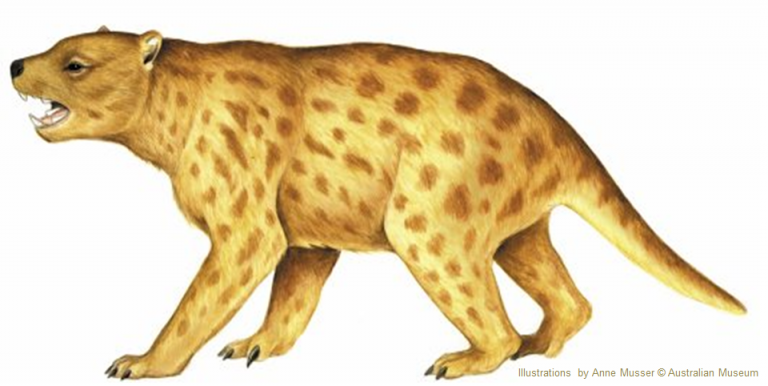 Ancient Australian Animals: 3 billion years of fossil history