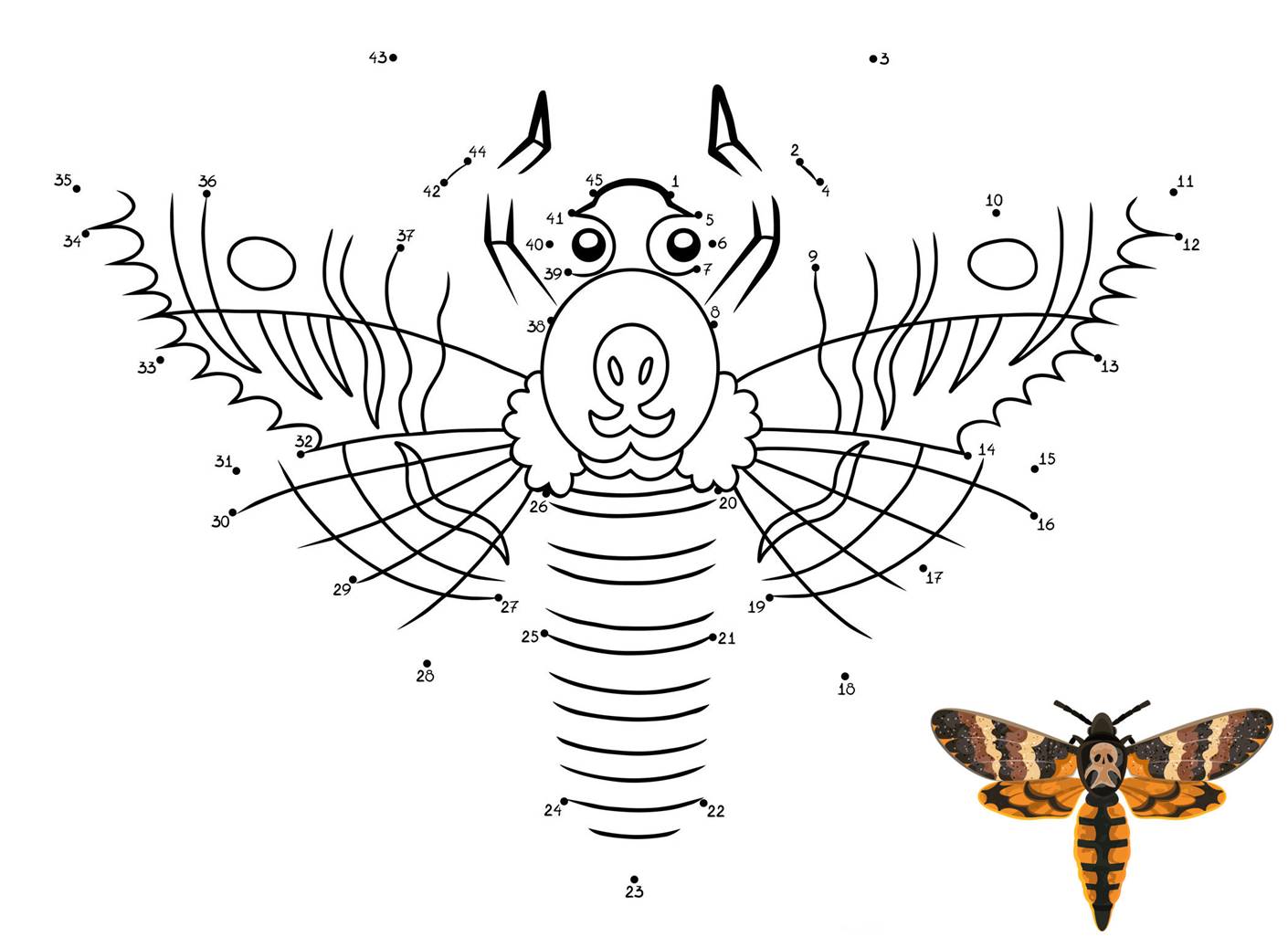 Dot to Dots - Australian Environmental Education