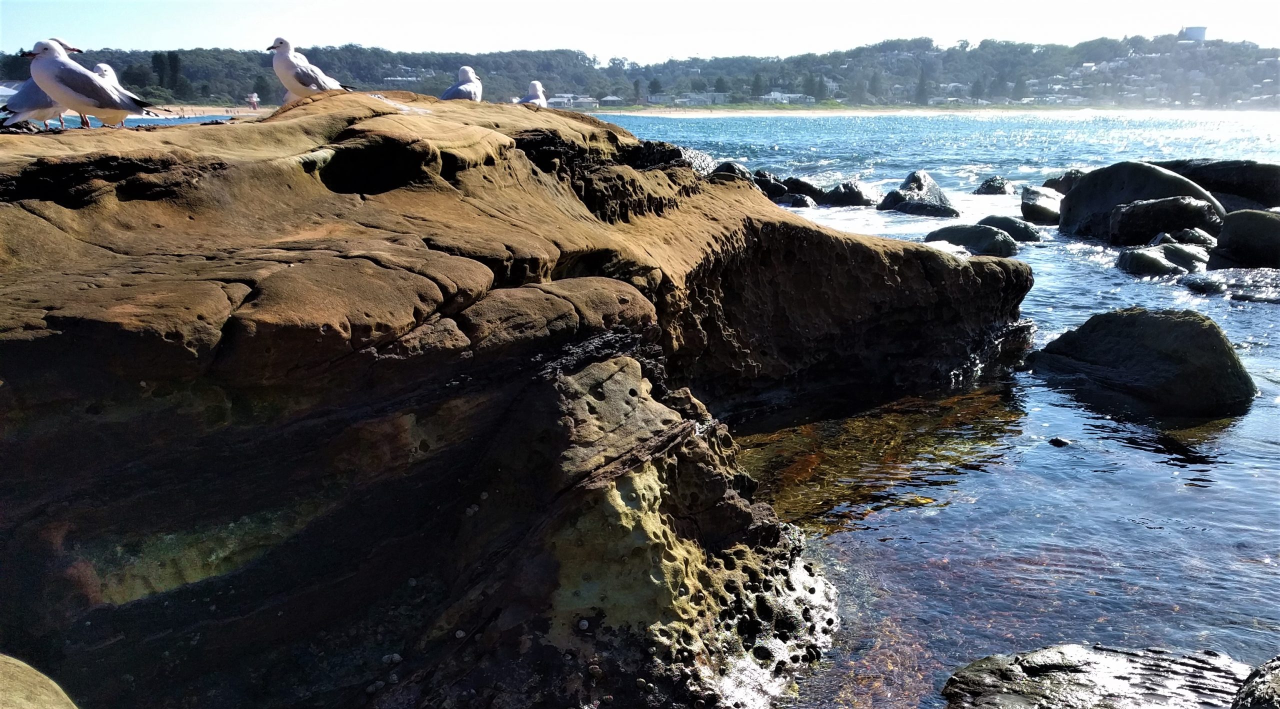 Discover what is under the water and what you might find on the shore.