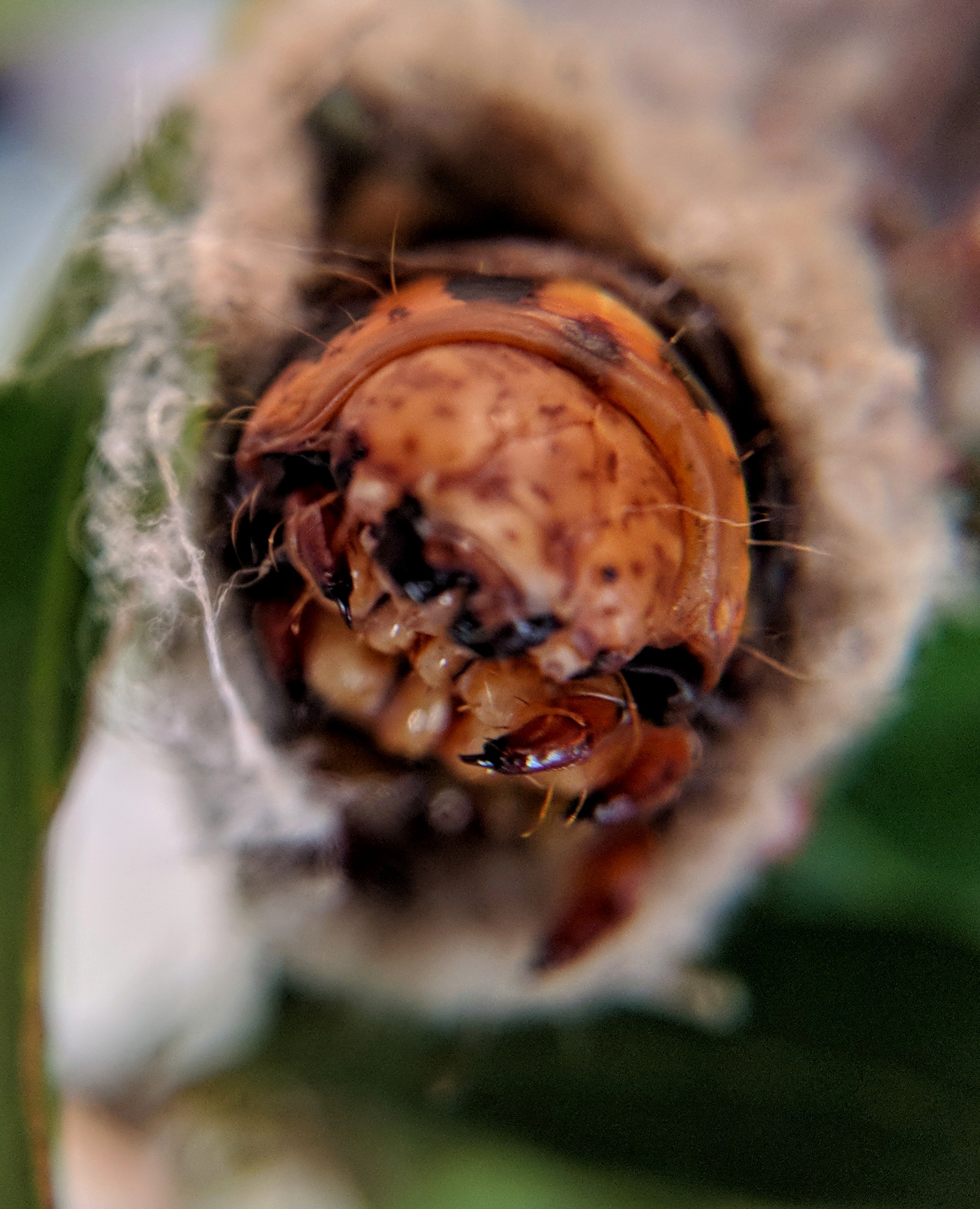 A lot has changed since I launched Sydney Science Education