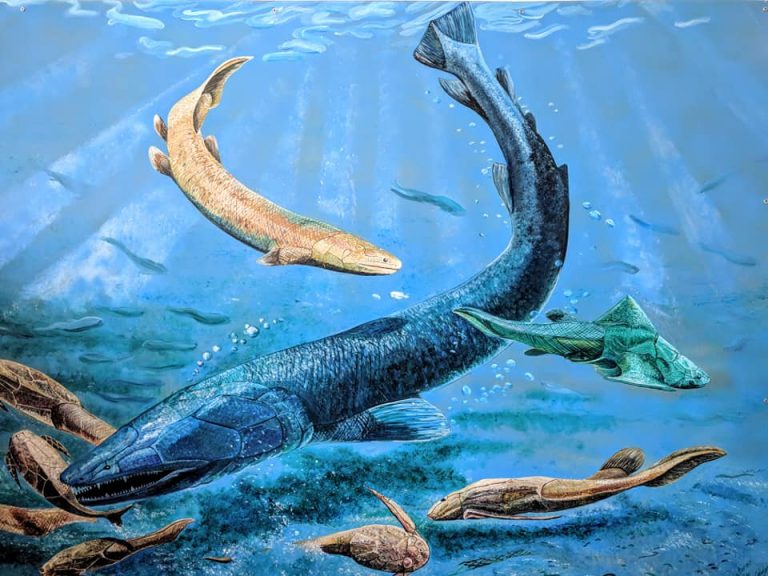 Life in the Devonian: 419 to 359 million years ago
