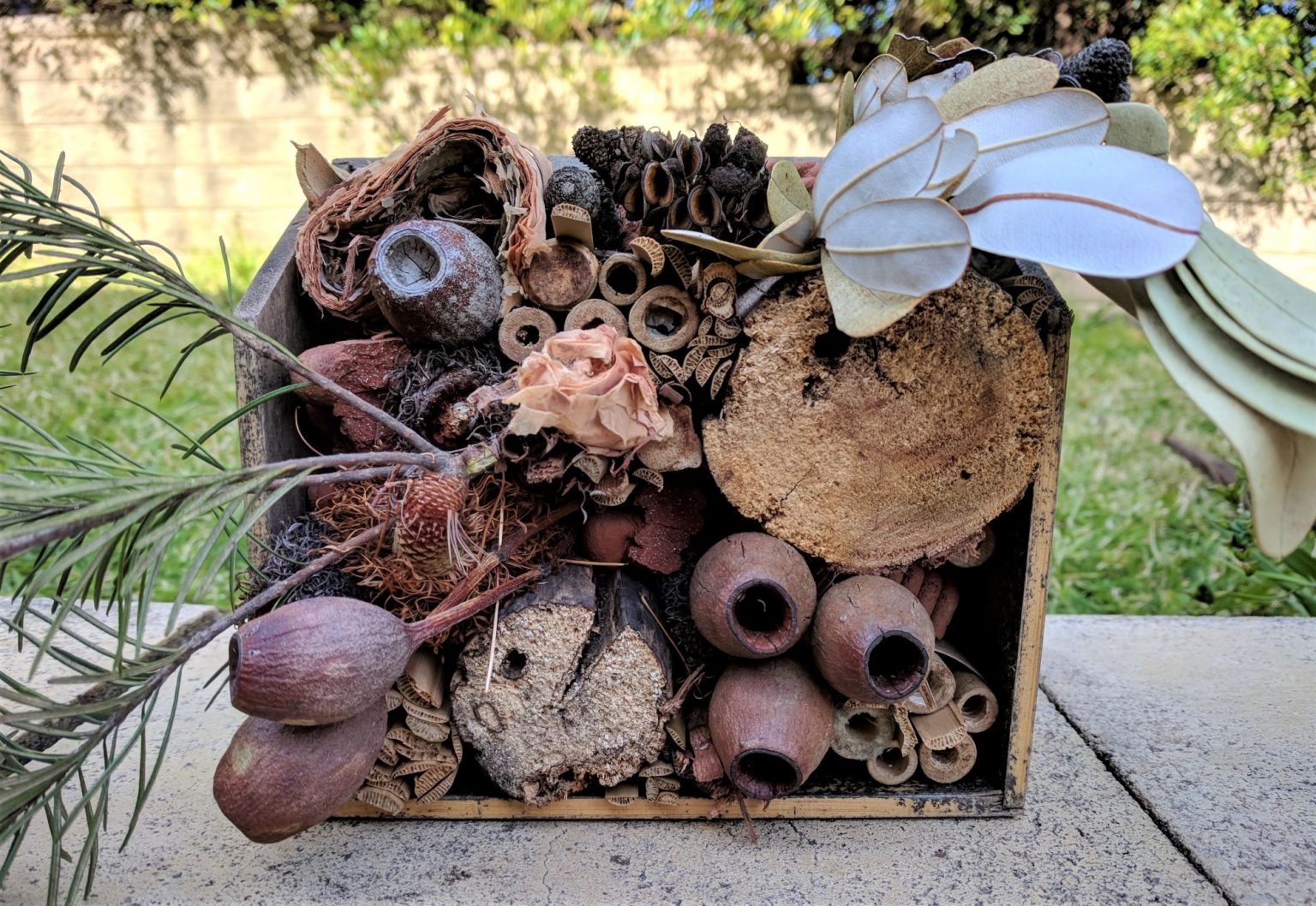 Making an Insect Hotel - Australian Environmental Education