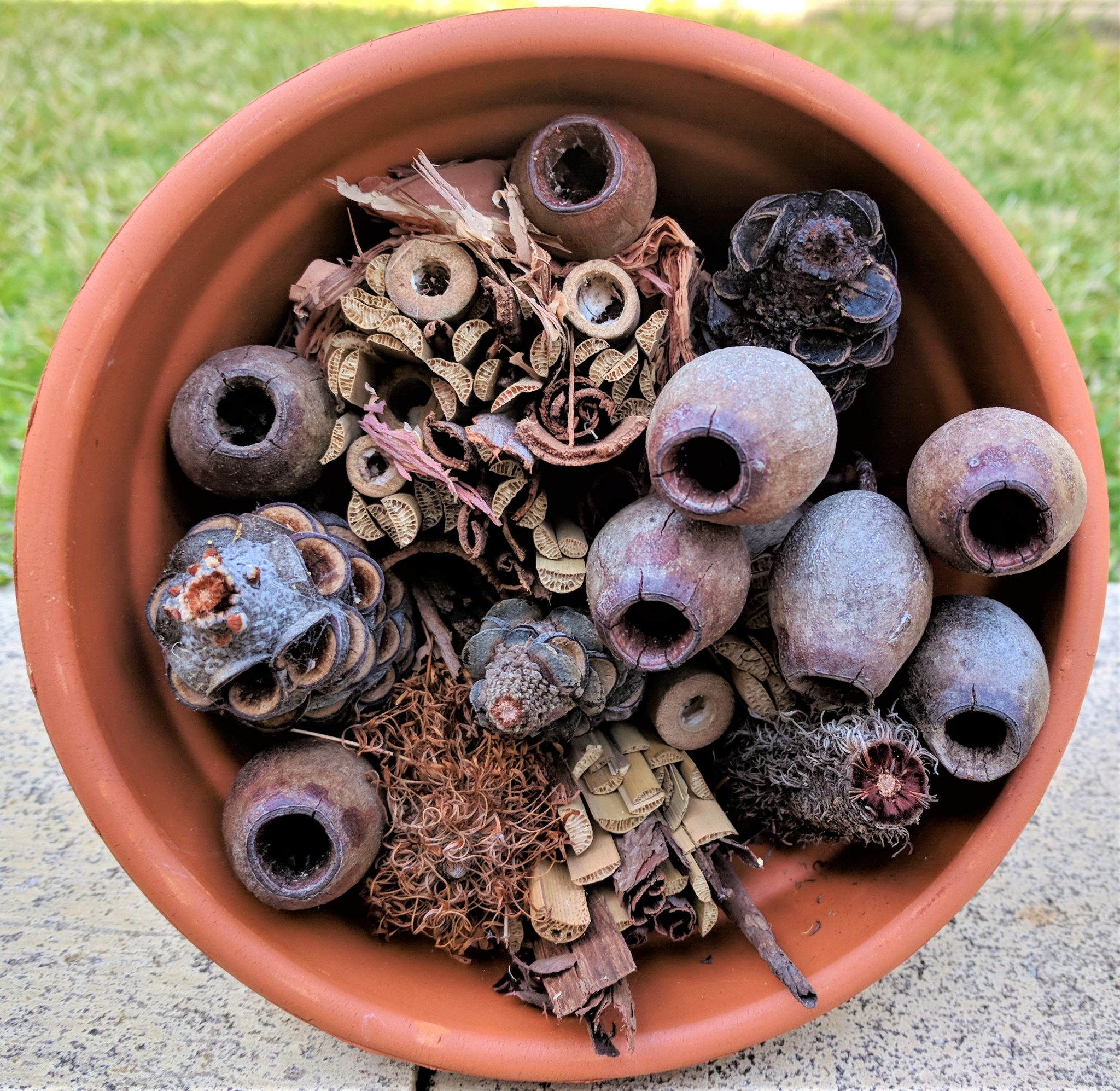 Making an Insect Hotel - Australian Environmental Education