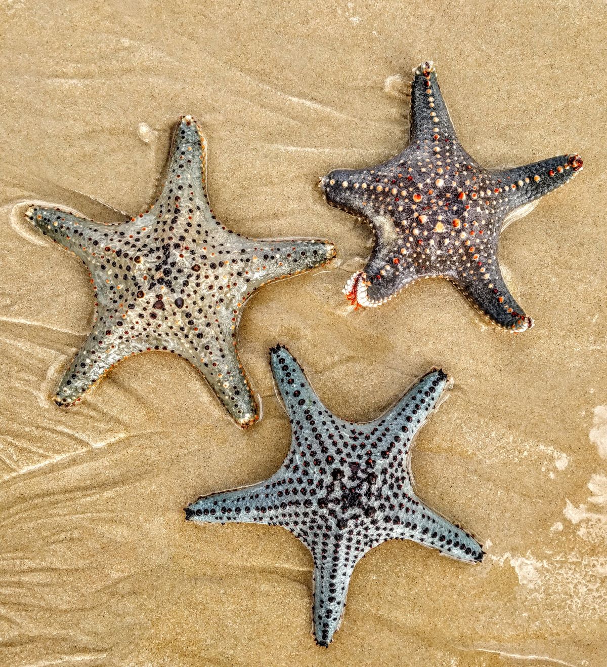 Beachcombing is a great way to explore our shores