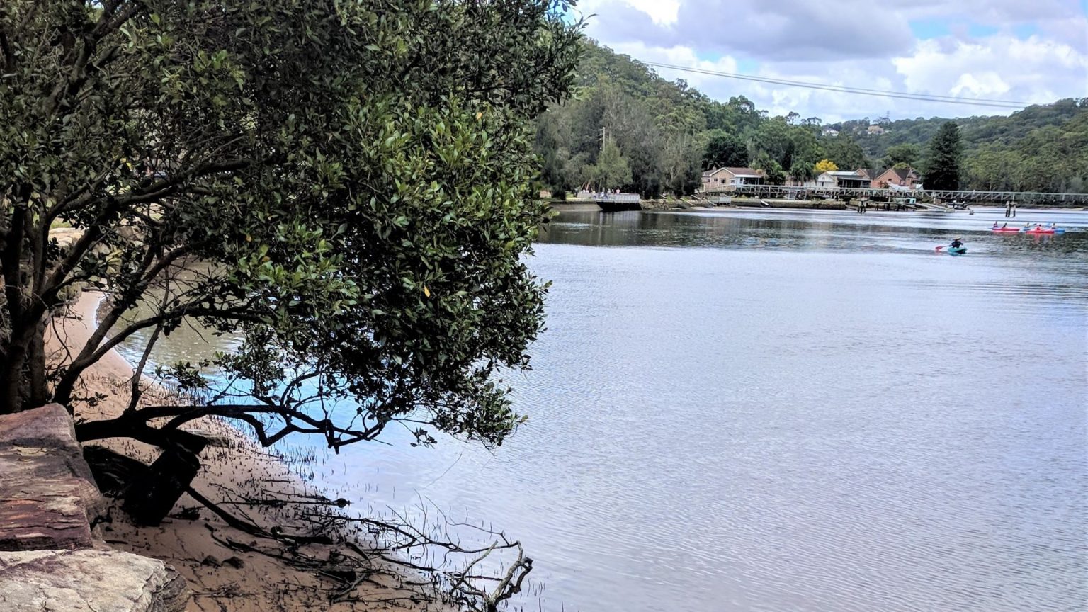 The Story of a River: from the mountains to the sea