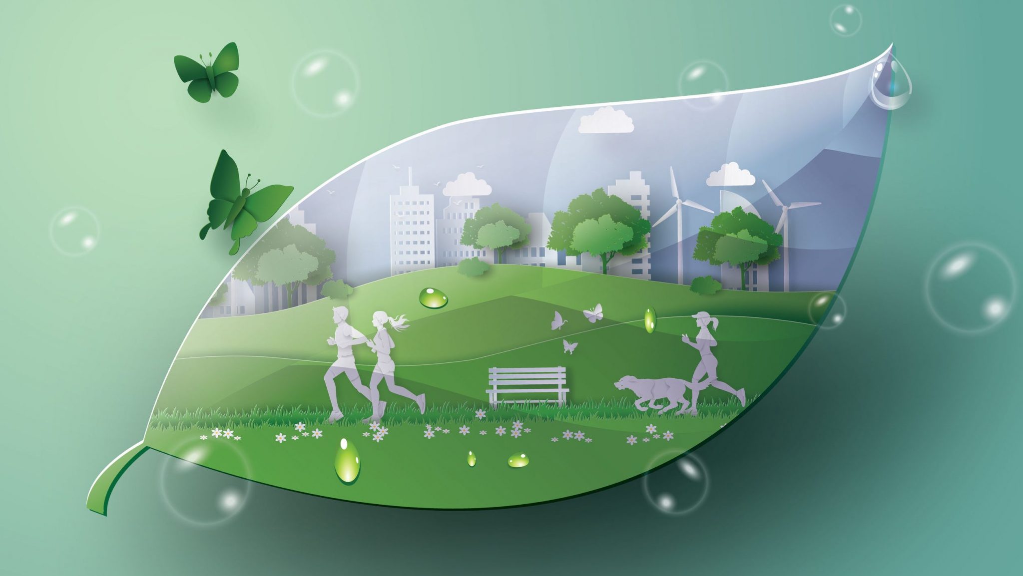 My Journey towards sustainability: 20 years and still going. My Journey towards sustainability: 20 years and still going.