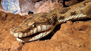 The Land of the Megafauna: when the Diprotodon roamed