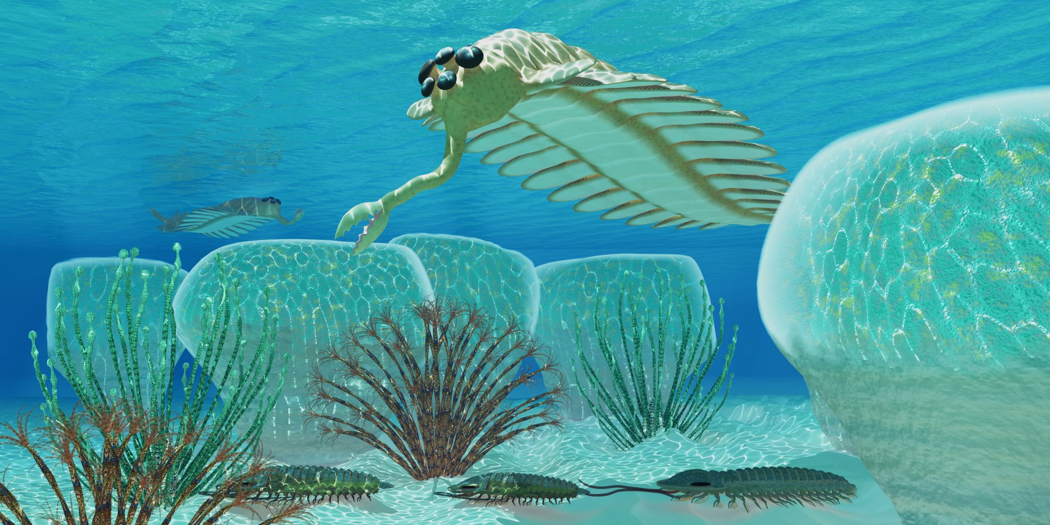 Life in the Cambrian: 541 - 485 million years ago