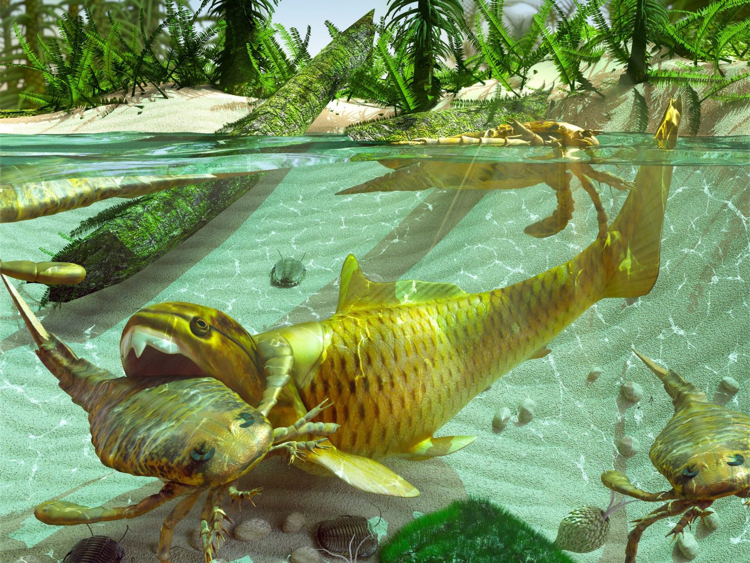 Life in the Devonian: 419 to 359 million years ago