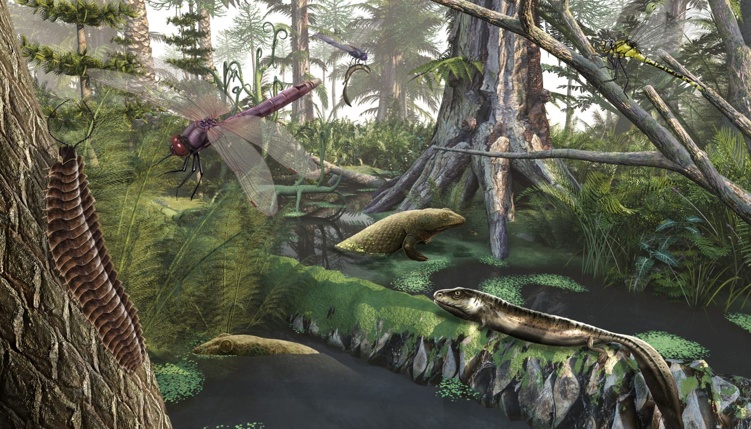 Life in the Devonian: 419 to 359 million years ago
