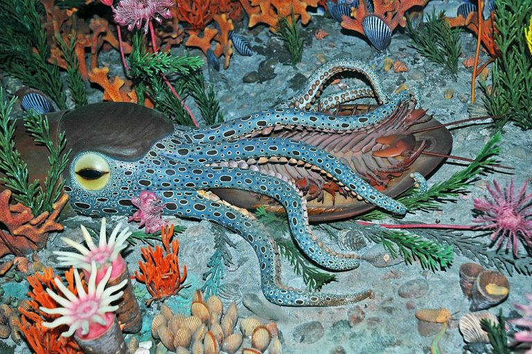 Life in the Ordovician: 485 - 444 million years ago