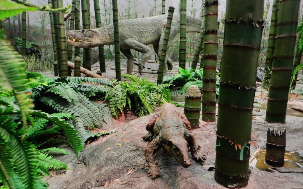 Life in the Triassic: 251 million and 199 million years ago.