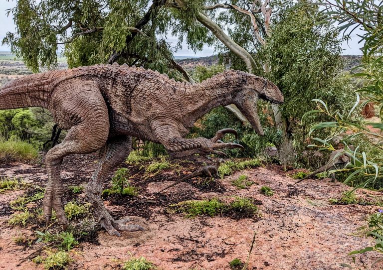 Australian Fossil Journey: 20 days on the road