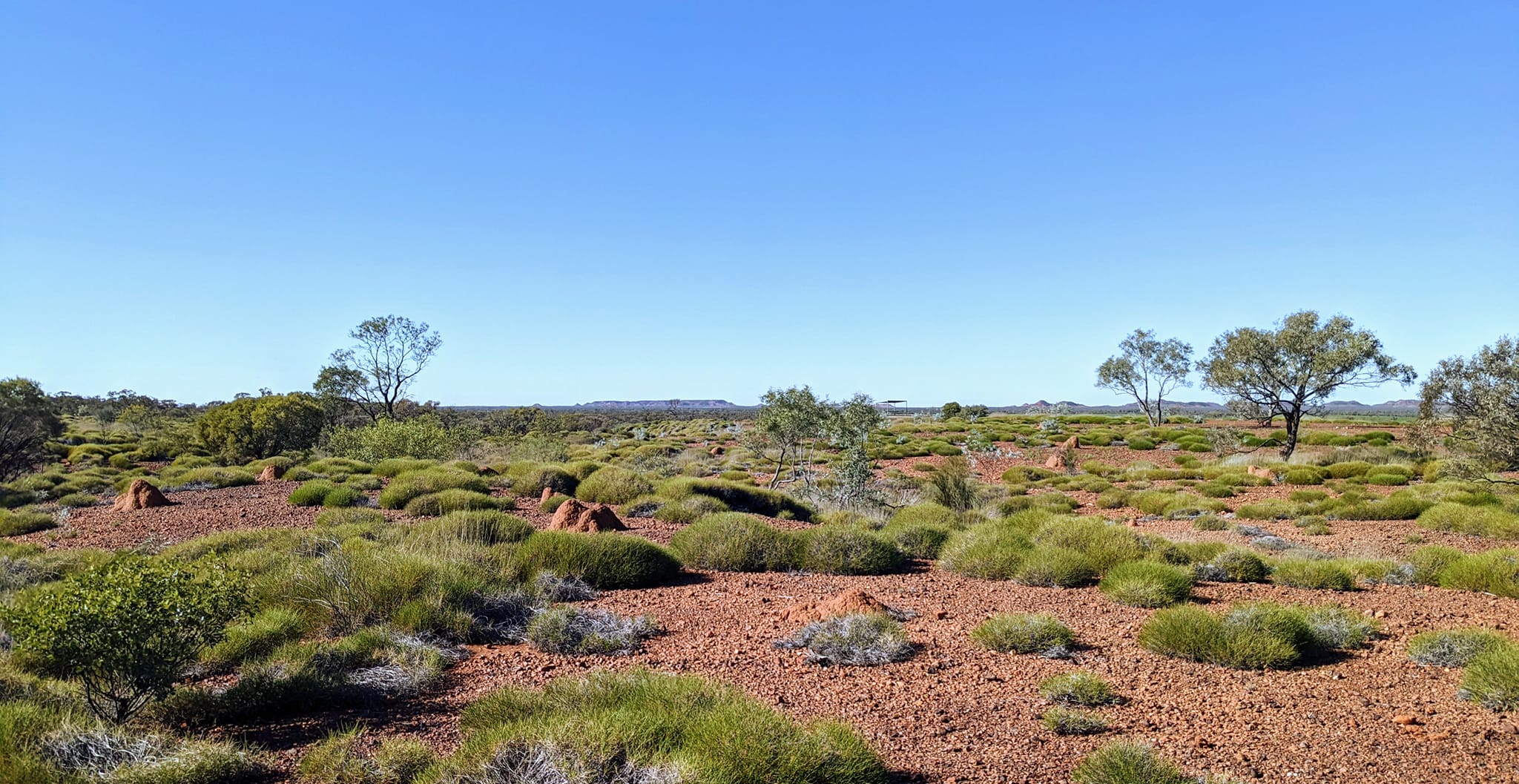 Australian Fossil Journey: 20 days on the road