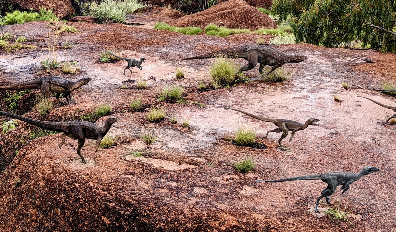 Australian Fossil Journey: 20 days on the road