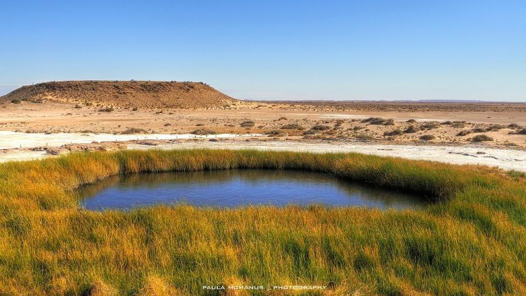 Great Artesian Basin is the largest artesian basin in the world.