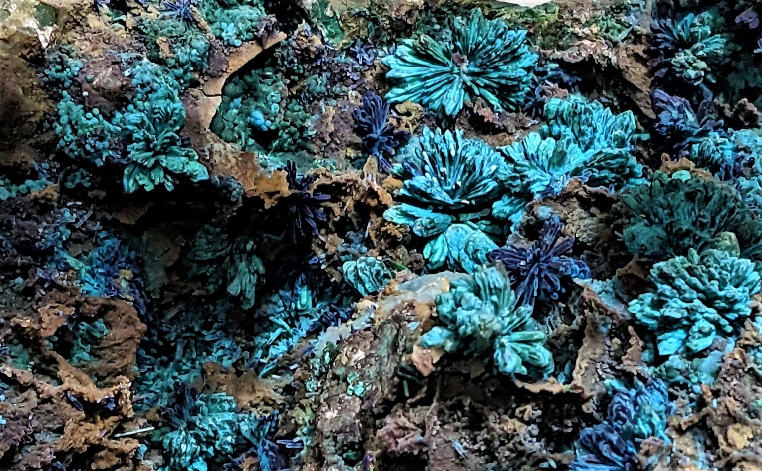 Amazing Minerals at the Australian Museum