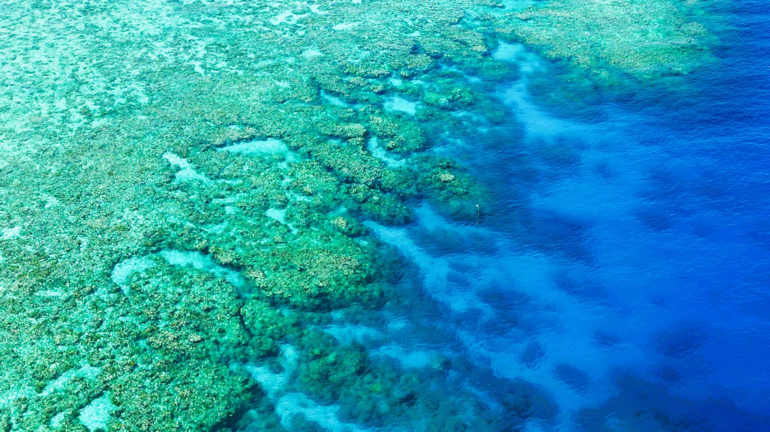 Unveiling the Wonders of the Great Barrier Reef
