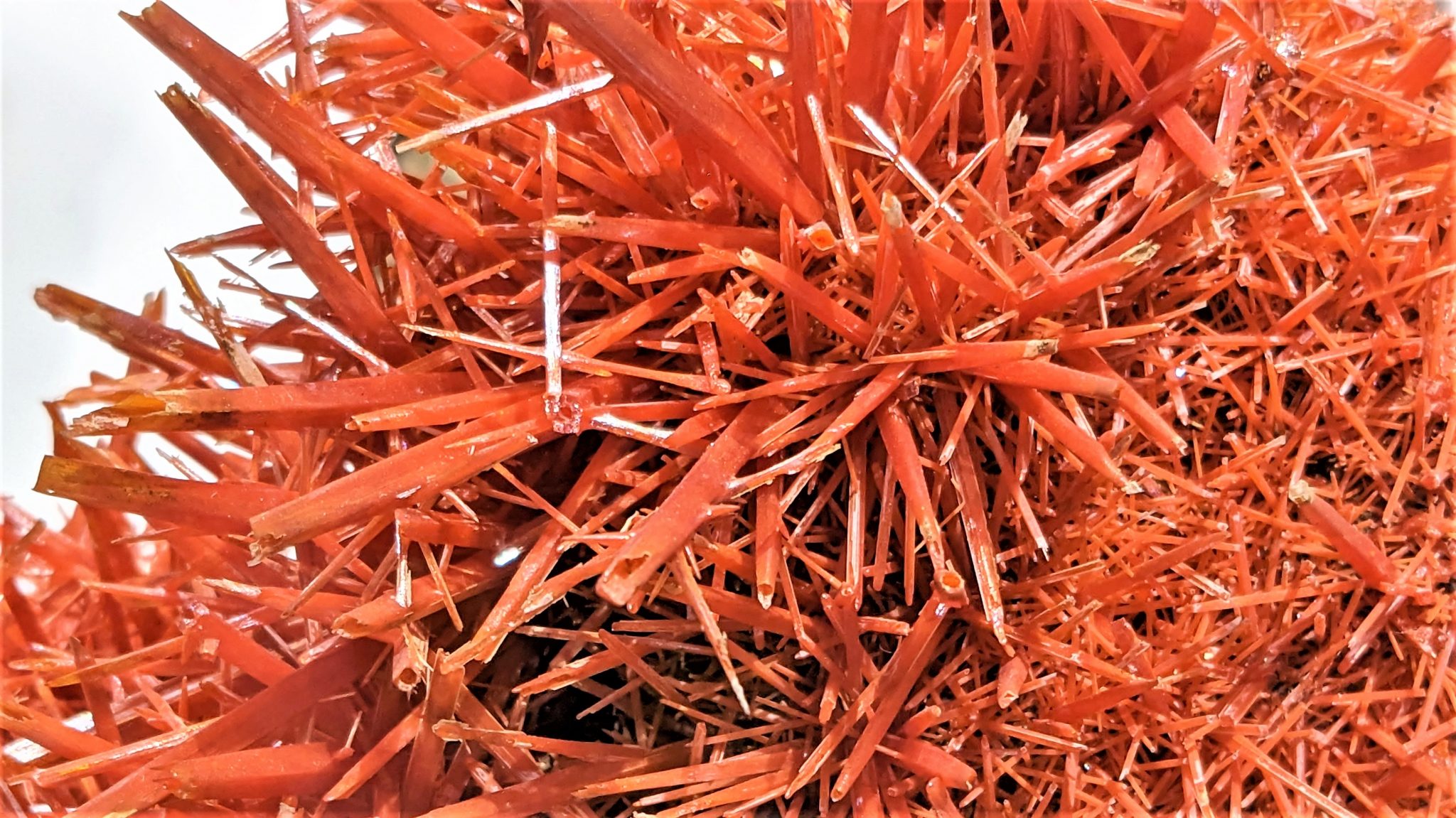 Amazing Minerals at the Australian Museum