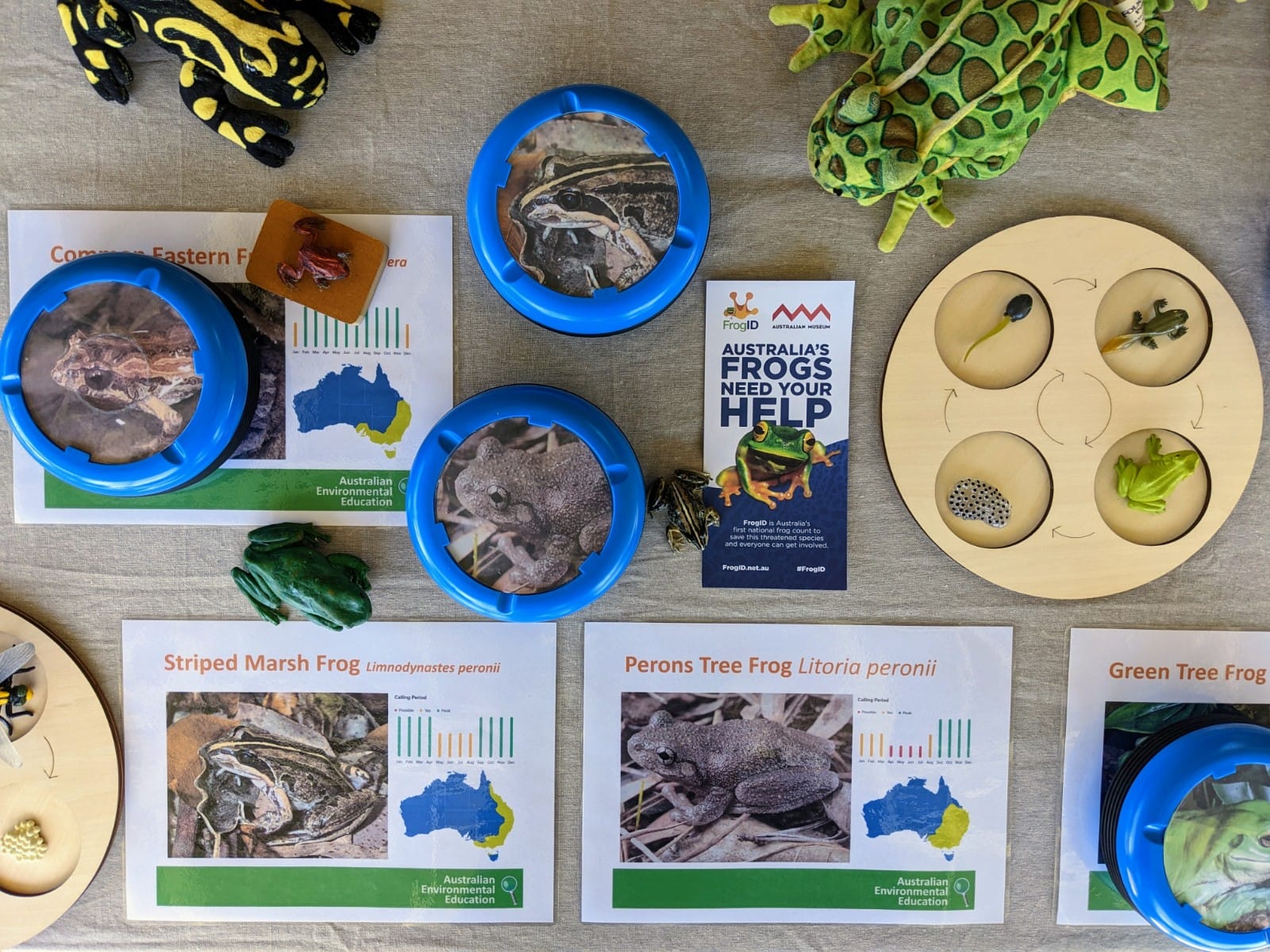 Clients and Customers