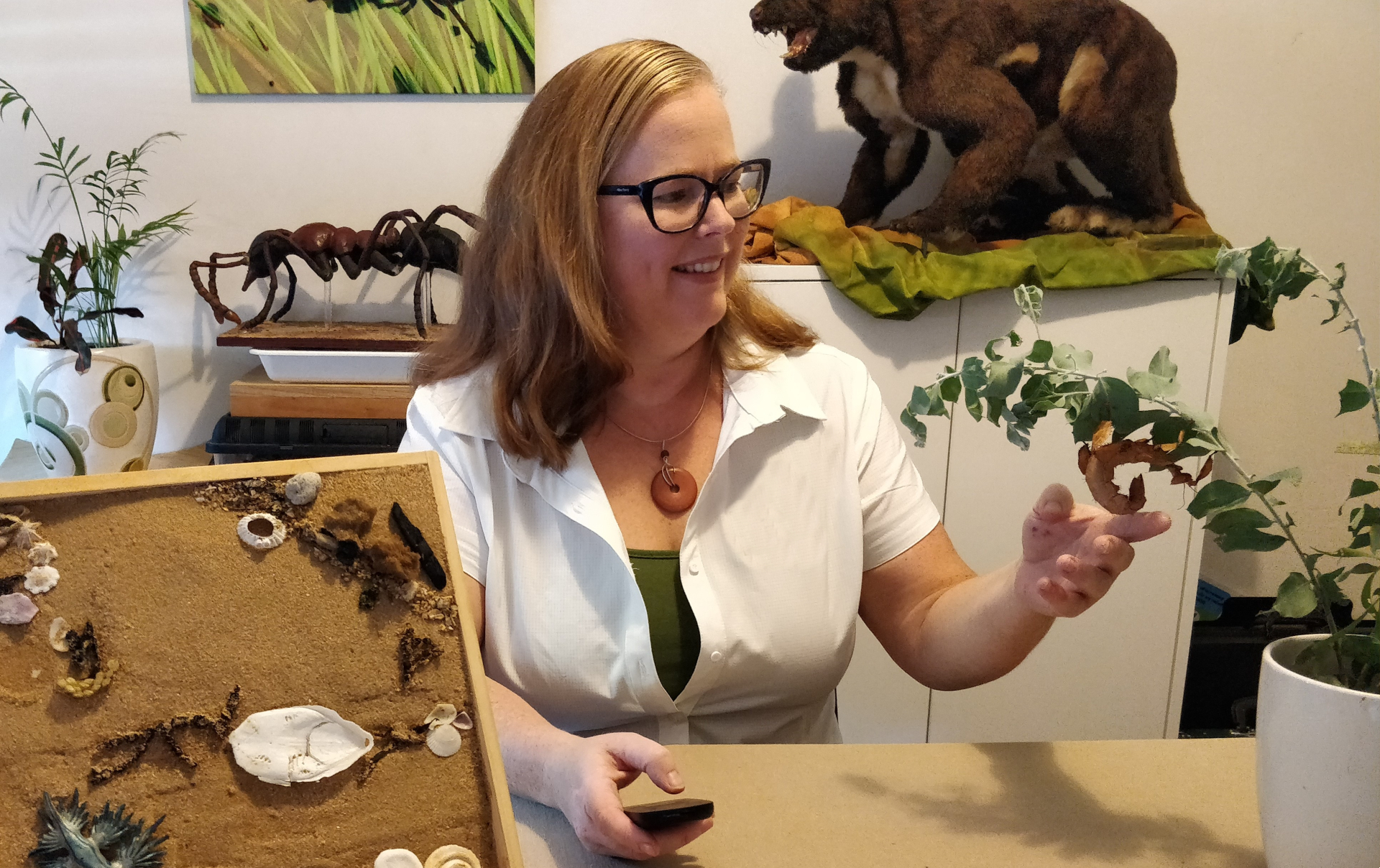 Karen Player - Australian Environmental Education