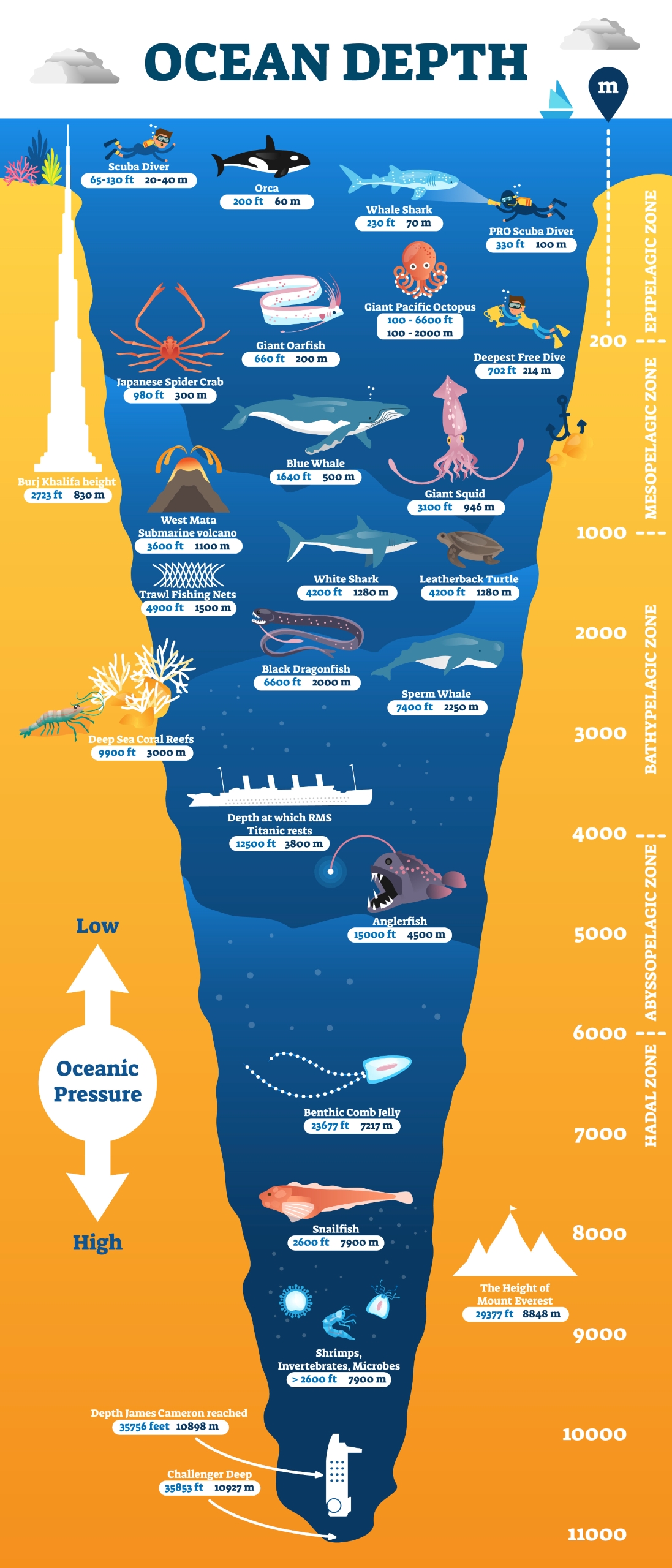 The deep sea begins where the sunlight starts to fade.