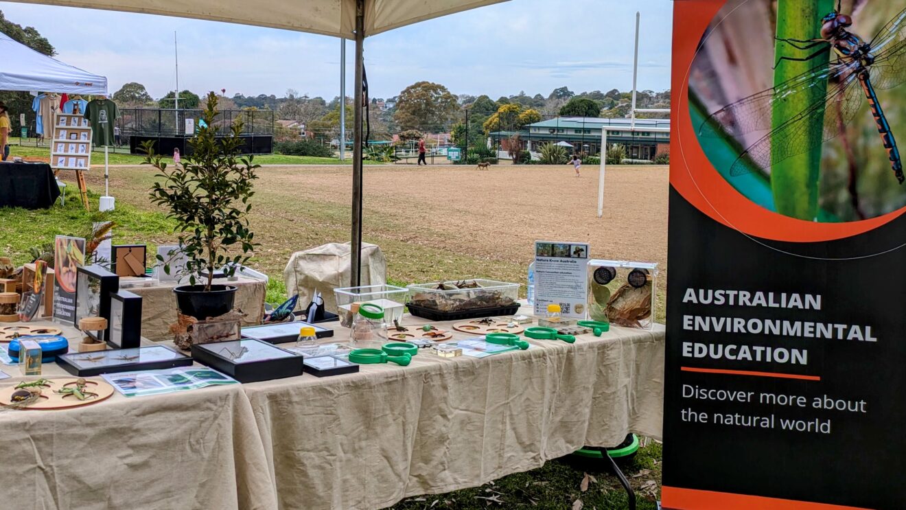 Awesome August - Australian Environmental Education