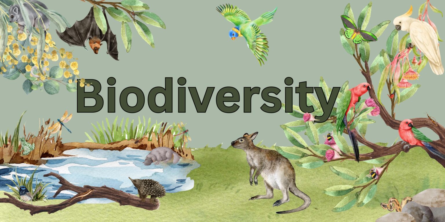 Biodiversity - Australian Environmental Education