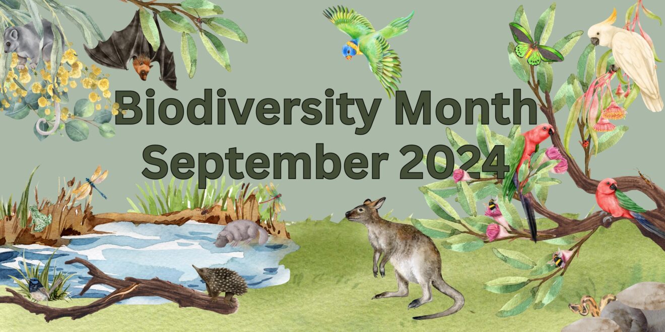 Biodiversity Month: Every Species Matters