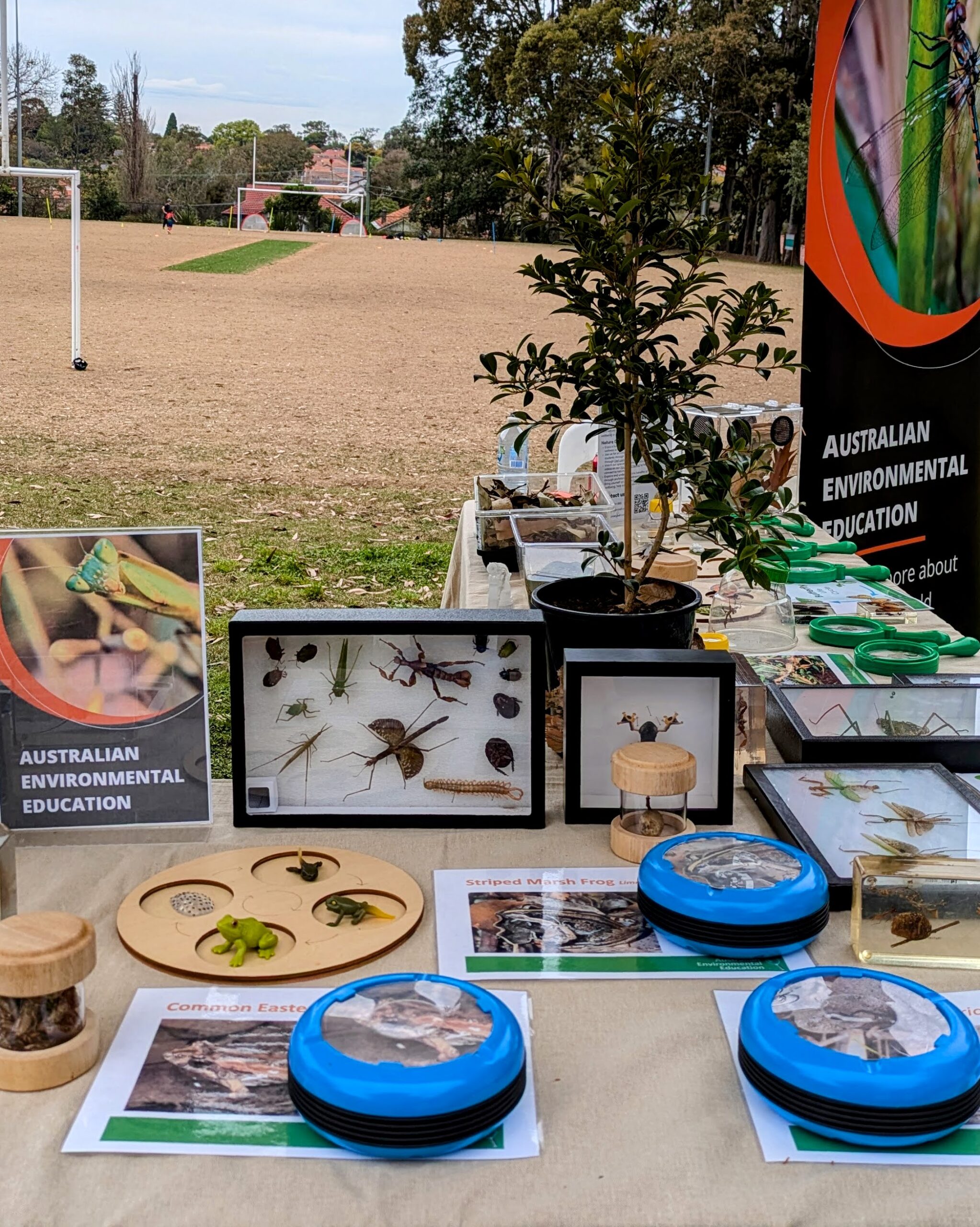 Awesome August - Australian Environmental Education