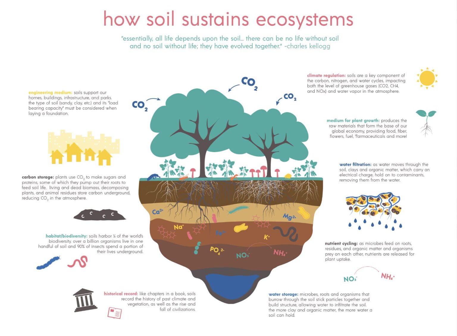 World Soil Day
