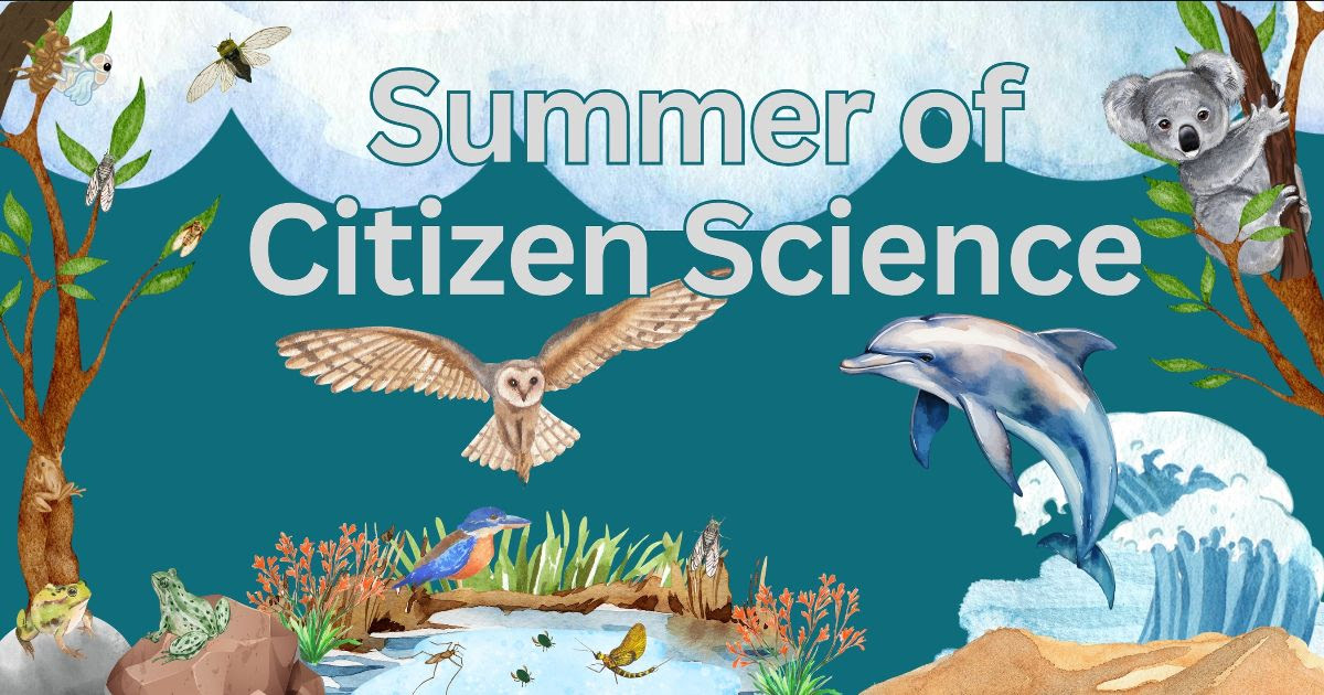 Kickstart 2026 with Citizen Science!