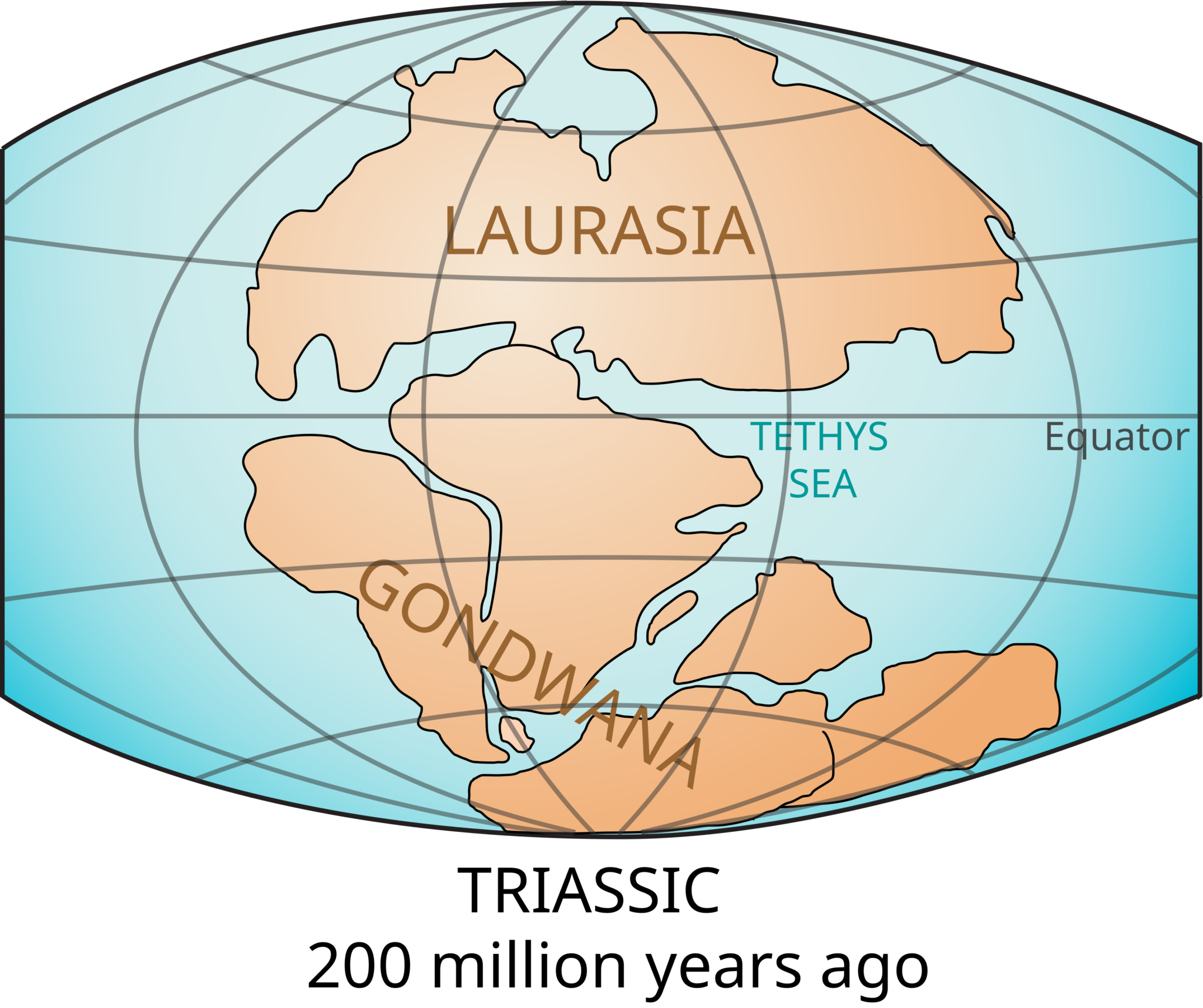Ancient Origins: The Story of Gondwana