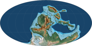 Life in the Carboniferous - Australian Environmental Education